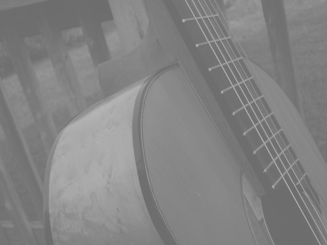 background guitar – Emily Alice Shaw