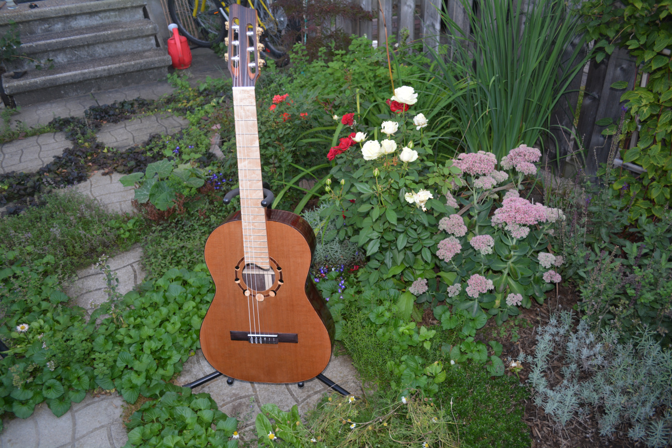 Josh 2 – Emily Alice Shaw