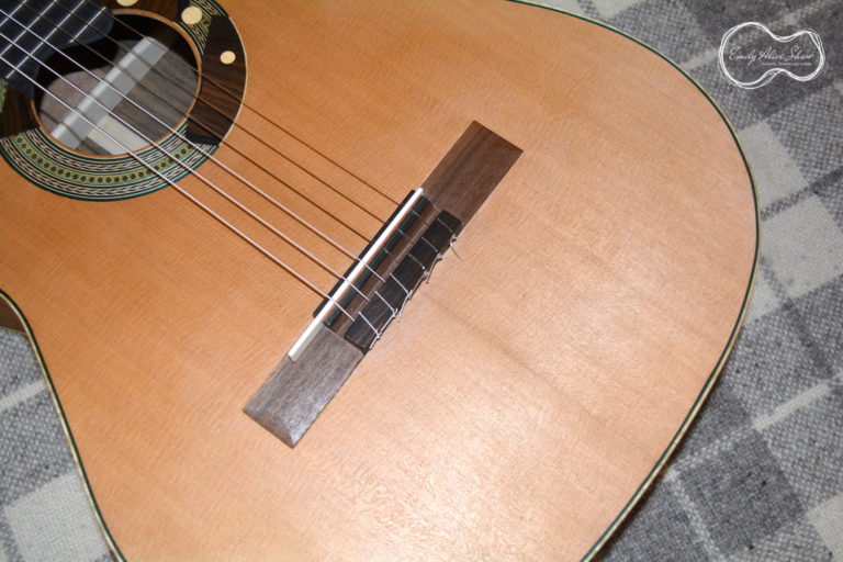 Another addition to the family! – Emily Alice Shaw